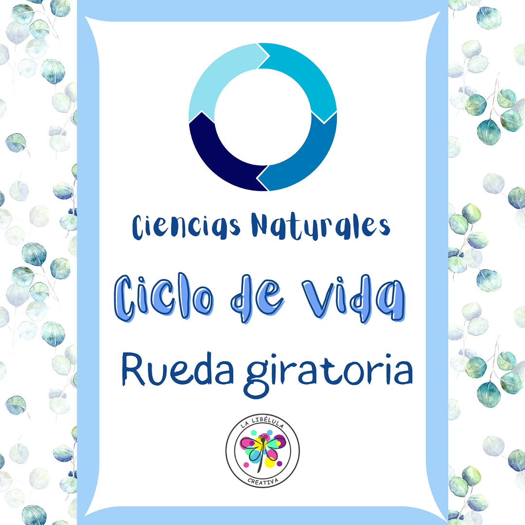 Spanish Science Life Cycle Ciclo Vida Animales Plantas Humano Animals ...