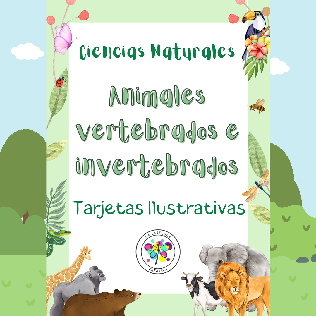 Spanish Flash Cards Science Animals Tarjetas Animales Vertebrados ...