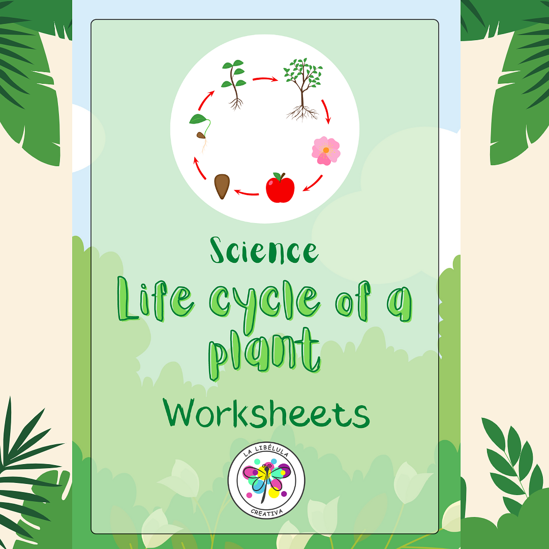 Science Life Cycle Worksheets Plants Spinner Fruits NO PREP Color ...