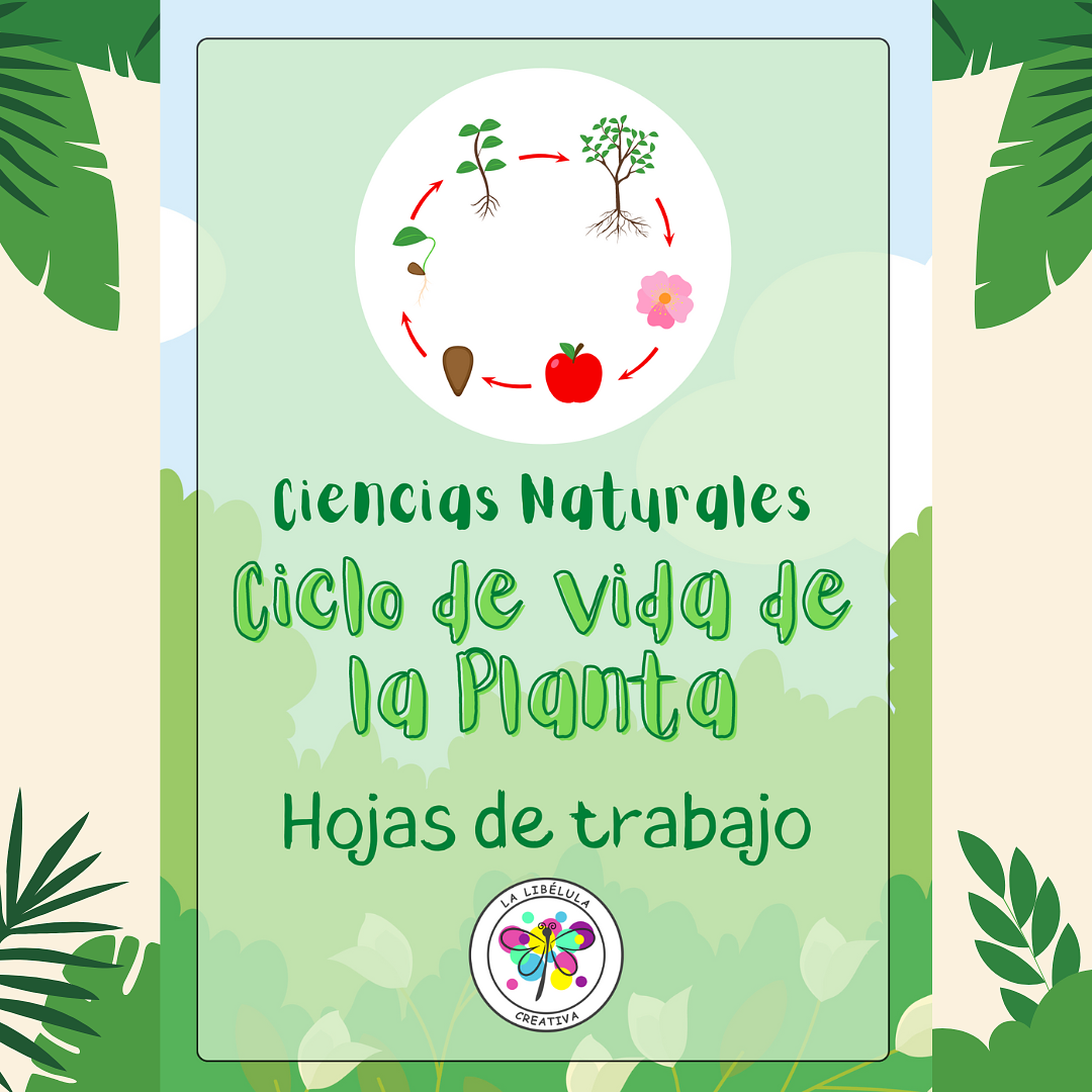 Spanish Science Life Cycle Worksheets Plants Ciclo de Vida Plantas ...