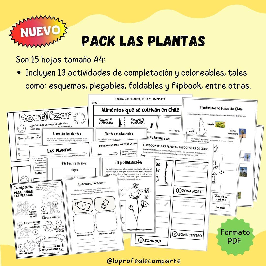 PACK DE FICHAS LAS PLANTAS | salduu.com